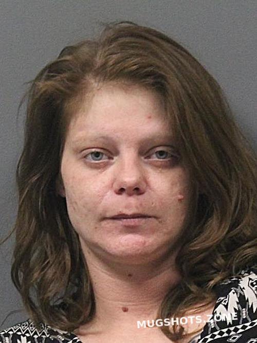 TAYLOR MEGAN ANNETTE 12/13/2024 - Desoto County Mugshots Zone