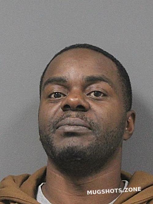 NELSON BRUCE ANTHONY 12/17/2024 - Desoto County Mugshots Zone