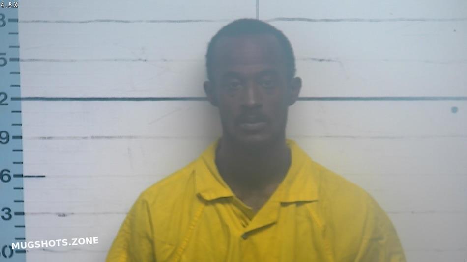 LOVEBERRY ALVIN JEROME 12/19/2024 - Desoto County Mugshots Zone