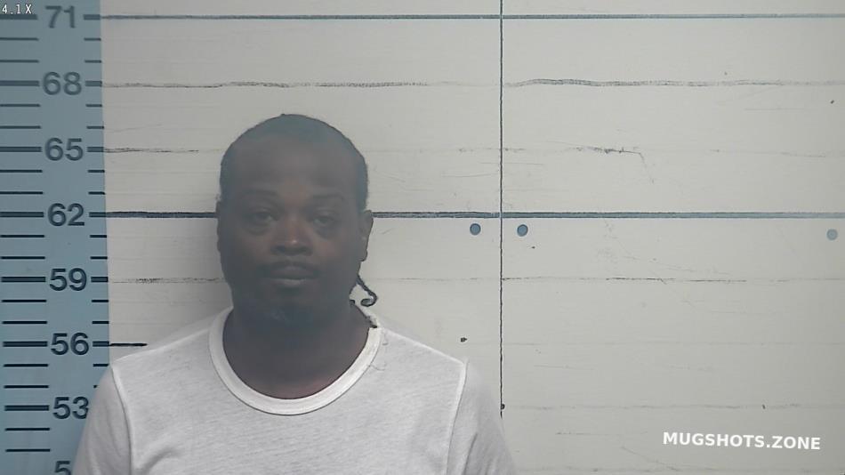 WATKINS ERNEST LEE 12/26/2024 - Desoto County Mugshots Zone