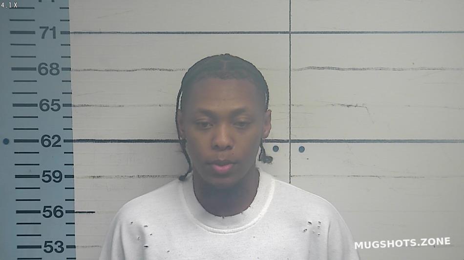 DOTSON DARIAN JAMAUL 12/27/2024 - Desoto County Mugshots Zone