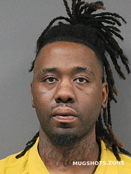 TELLIS JAMES LOUIS 01/07/2025 - Desoto County Mugshots Zone