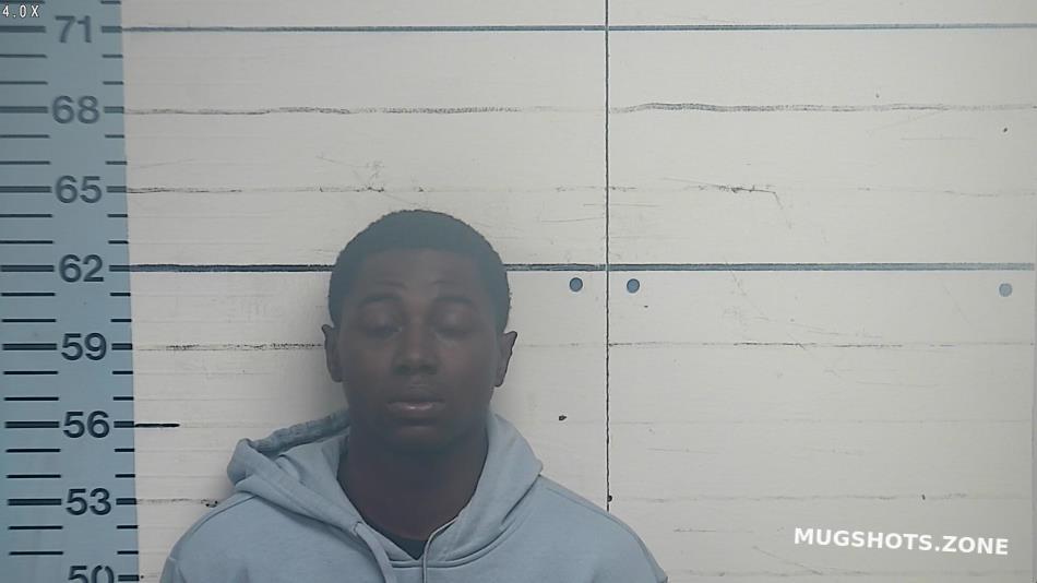 SWING JERALD ONEAL JR 01/09/2025 - Desoto County Mugshots Zone