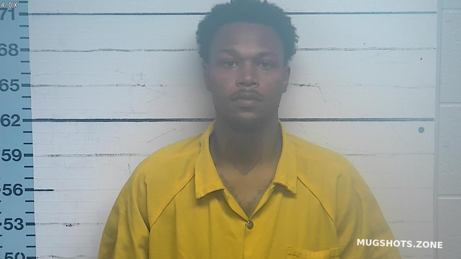 DELONG MICHAEL WAYNE 01/09/2025 - Desoto County Mugshots Zone