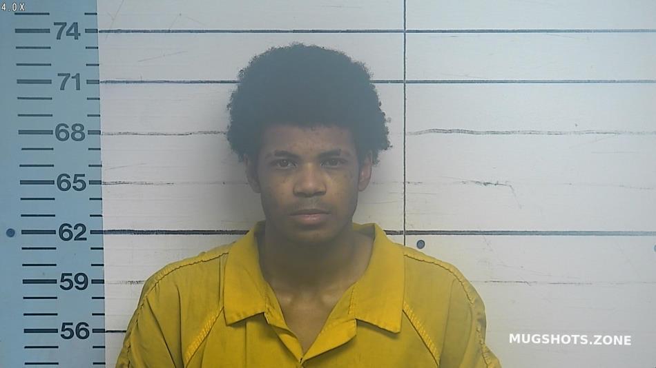 VAUGHN MALACHI AMADRE 01/15/2025 - Desoto County Mugshots Zone