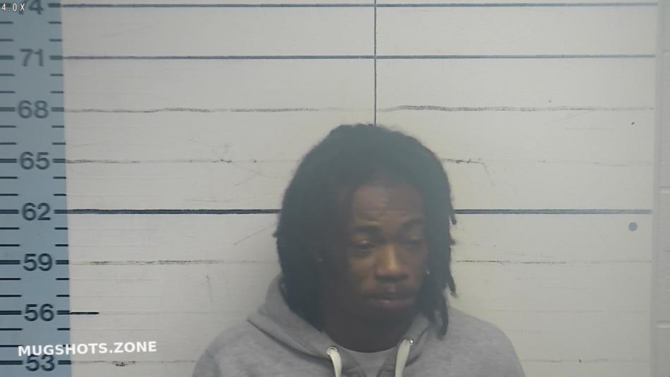 SHELLY BRANDON LENARD 01/25/2025 - Desoto County Mugshots Zone