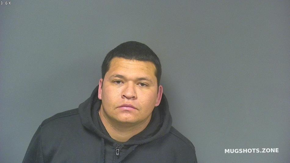 NEVIS-DANIEL BORJAS 01/25/2025 - Desoto County Mugshots Zone