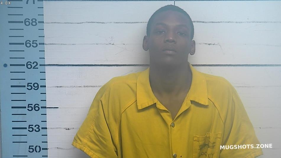 DAVIS JAMARIUS TRATEZ 01/26/2025 - Desoto County Mugshots Zone