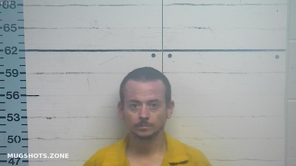 RICKER BRIAN KEITH 01/29/2025 - Desoto County Mugshots Zone