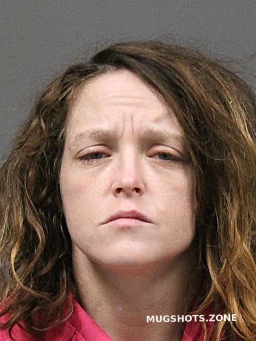 MILLER STEPHANIE RENAE 02/05/2025 - Desoto County Mugshots Zone