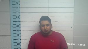 VIZCAINO JONATHAN URIEL 02/07/2025 - Desoto County Mugshots Zone