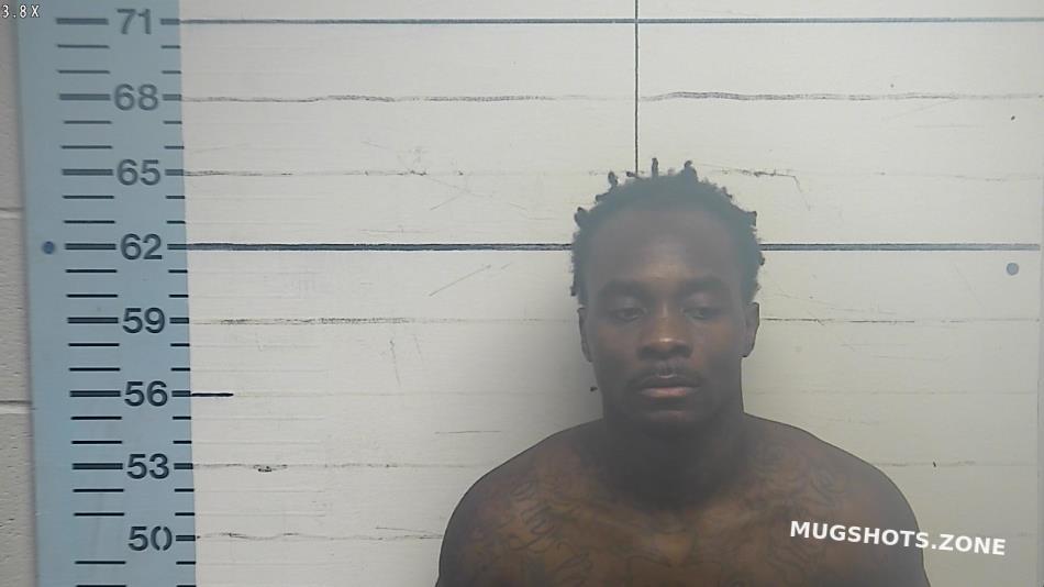 FAIR JEMARIOUS 02/11/2025 - Desoto County Mugshots Zone