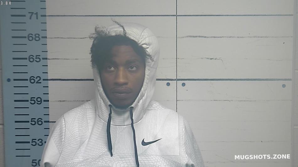 ARTIS NICALE DOMINIC 02/27/2025 - Desoto County Mugshots Zone