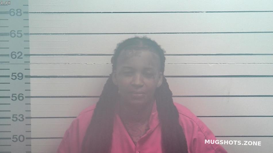 JAMES LASHON RENEE 02/27/2025 - Desoto County Mugshots Zone