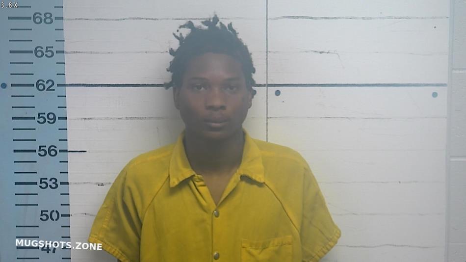 JOHNSON KENTRELL DASHON 03/07/2025 - Desoto County Mugshots Zone