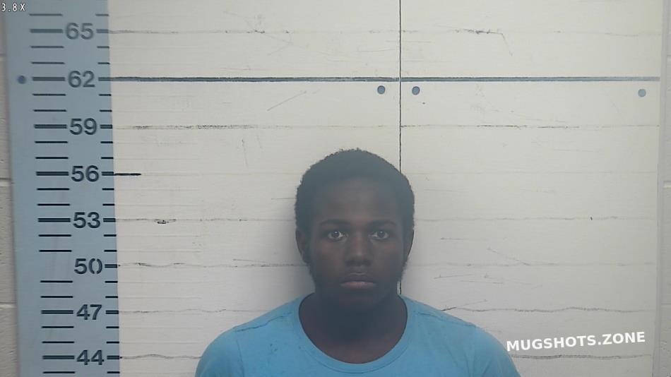 LEWIS TERRANCE DEANDRE 03/12/2025 - Desoto County Mugshots Zone