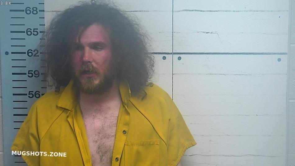 SHEPHERD DEVIN RAY 03/14/2025 - Desoto County Mugshots Zone