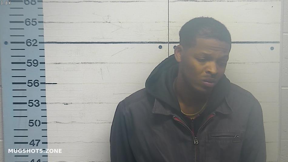 THEISEN NICHOLAS SHANE 03/17/2025 - Desoto County Mugshots Zone