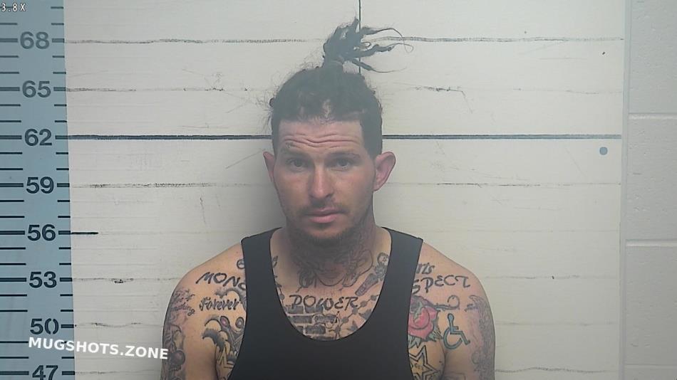 SHUGARS WILLIAM STEPHEN TYLER 03/17/2025 - Desoto County Mugshots Zone