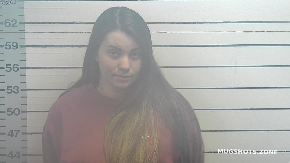 DEAN HOLLY MICHELLE 03/20/2025 - Desoto County Mugshots Zone