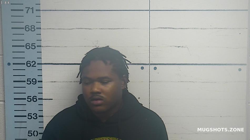 WHITE KADADRIAN LARAY 03/20/2025 - Desoto County Mugshots Zone