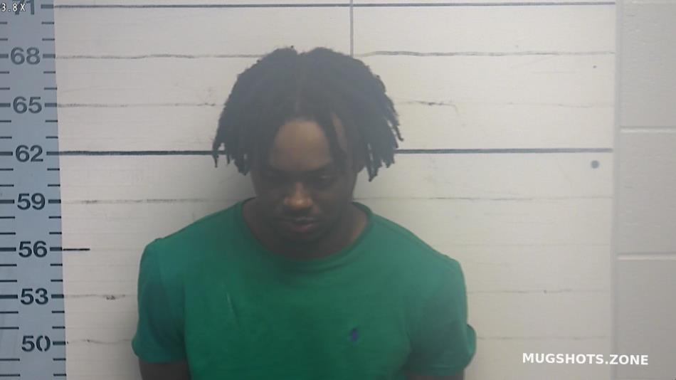 SIMMONS XAVIER 03/21/2025 - Desoto County Mugshots Zone