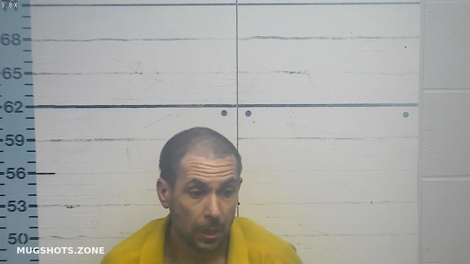 ADAMS DONALD H 03/21/2025 - Desoto County Mugshots Zone