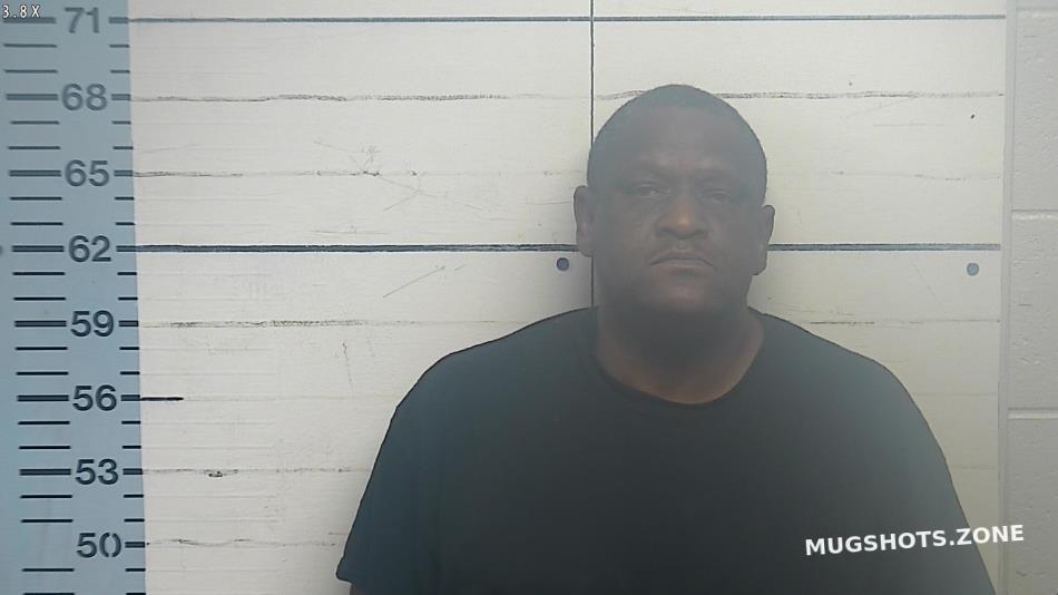 REED BILLY JOE 03/25/2025 - Desoto County Mugshots Zone