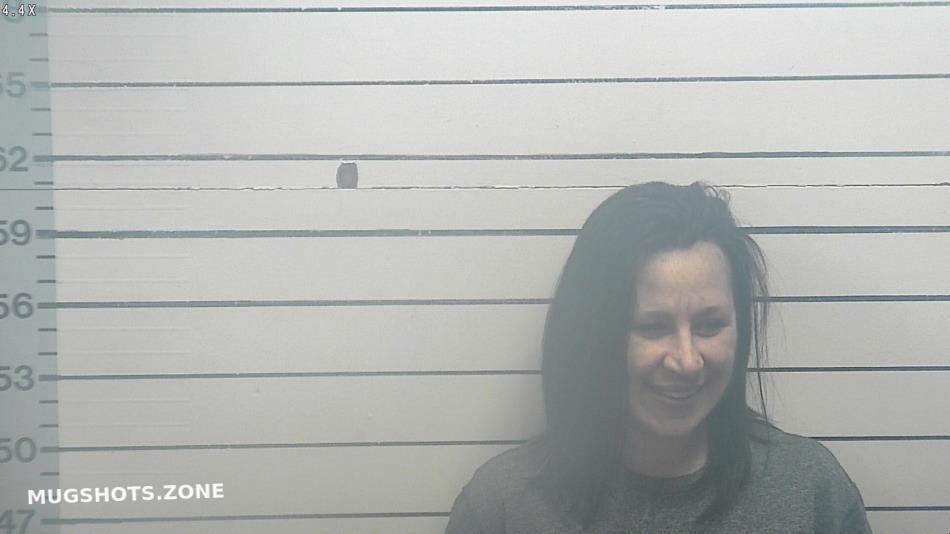 HILL ERICA RUTH 03/28/2025 - Desoto County Mugshots Zone
