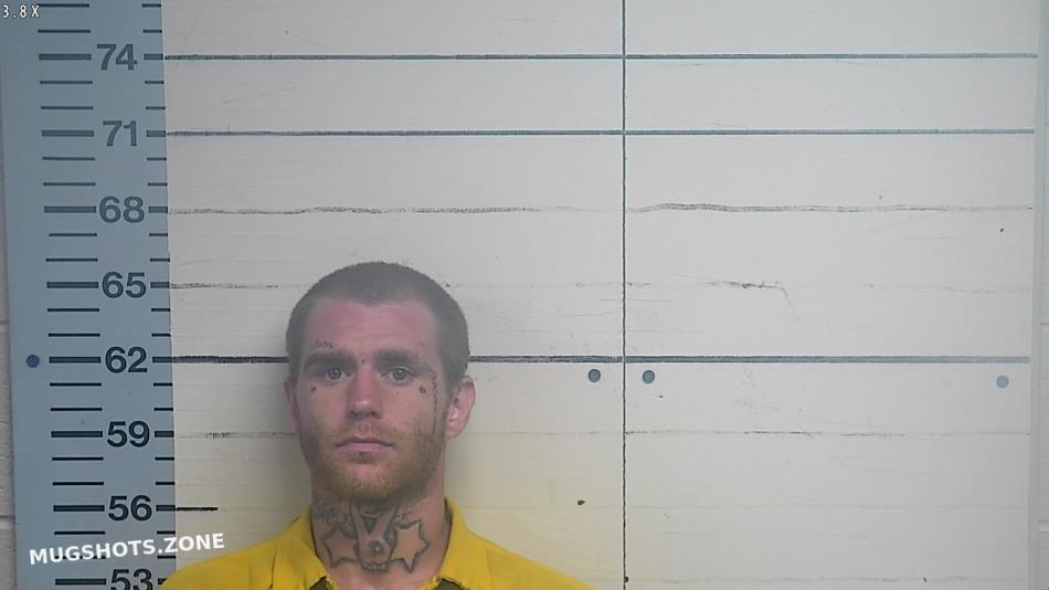 RUSSELL JORDAN COLE 03/31/2025 - Desoto County Mugshots Zone