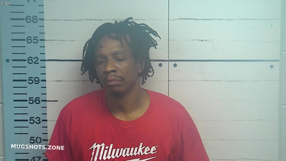 LITTLE RODNEY 04/03/2025 - Desoto County Mugshots Zone