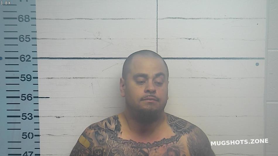 STREET WALTER LUSTER 04/03/2025 - Desoto County Mugshots Zone