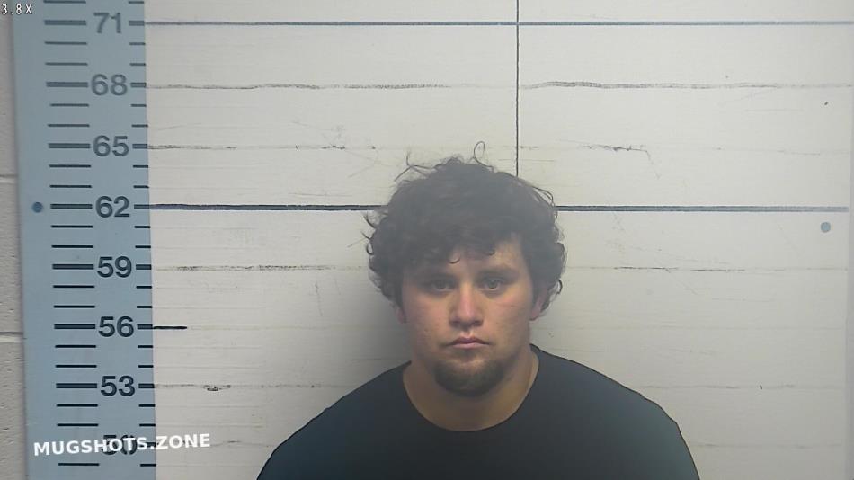 EMERSON JOSHUA COLIN 04/06/2025 - Desoto County Mugshots Zone