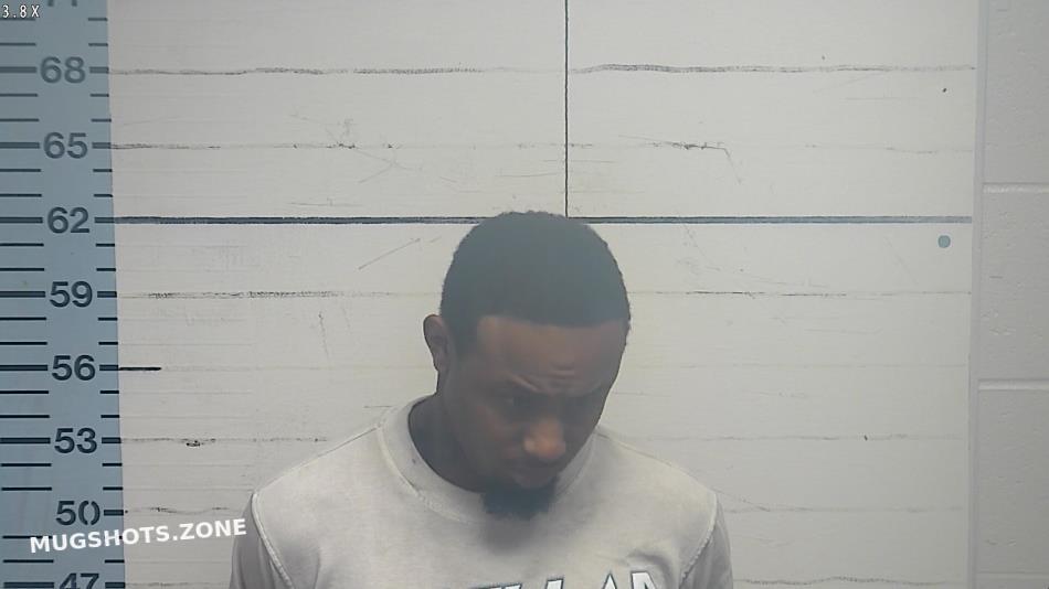 EDWARDS MARCHISCO CHIC'QUAN 04/13/2025 - Desoto County Mugshots Zone