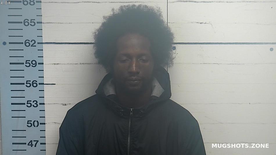 MITCHELL GERALD 04/17/2025 - Desoto County Mugshots Zone