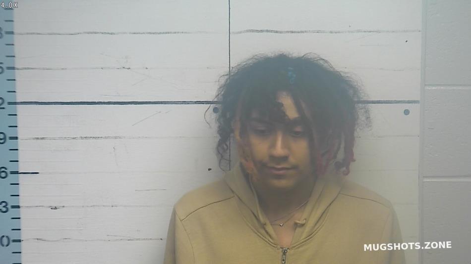 JENSEN JEREMY MATEO 04/29/2025 - Desoto County Mugshots Zone