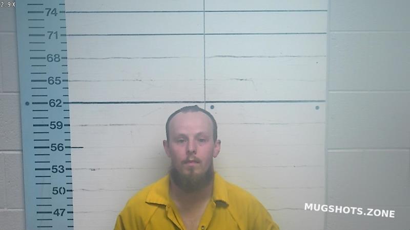 WILSON JOSHUA FORREST 06/14/2025 - Desoto County Mugshots Zone