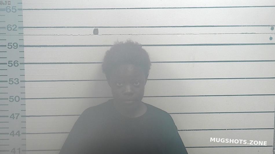 VIRGIL DAMIAYA NYCOLE 07/01/2025 - Desoto County Mugshots Zone