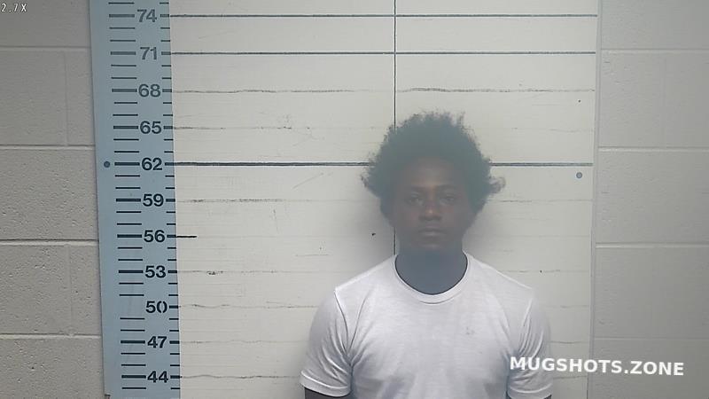GIBBS SHELDON N 07/09/2025 - Desoto County Mugshots Zone