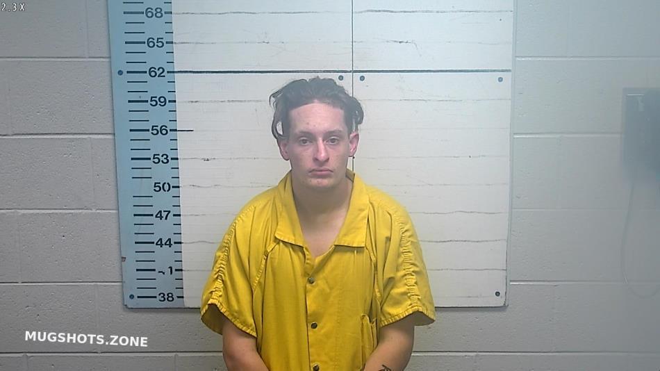 LONG LANDON KALEB 07/25/2025 - Desoto County Mugshots Zone