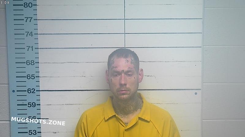 HARRIS BRACK 08/01/2025 - Desoto County Mugshots Zone