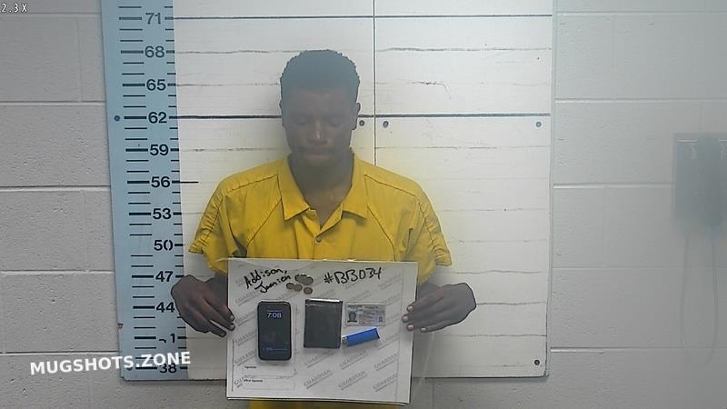 ADDISON JAMIEN KENTRELL 08/04/2025 - Desoto County Mugshots Zone
