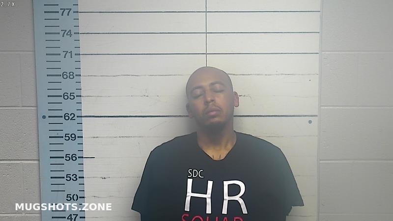 DIGGS BLAKE ALEXANDER 08/08/2025 - Desoto County Mugshots Zone
