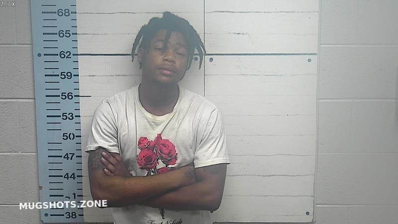 GADDY CAMERON DEWAYNE 08/11/2025 - Desoto County Mugshots Zone