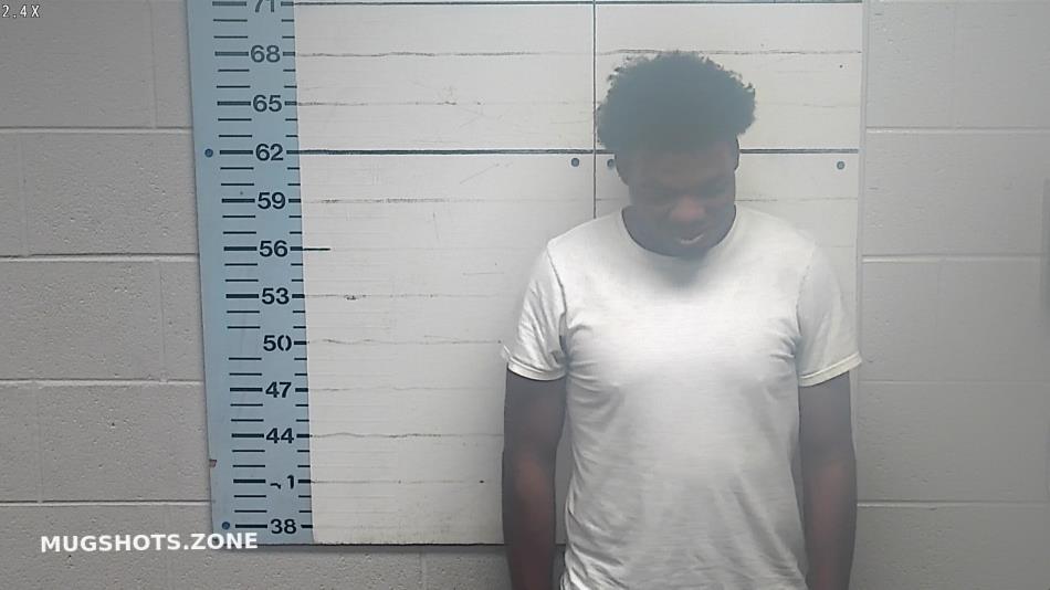 GOLDEN CHRISTOPHER AMIR 08/15/2025 - Desoto County Mugshots Zone