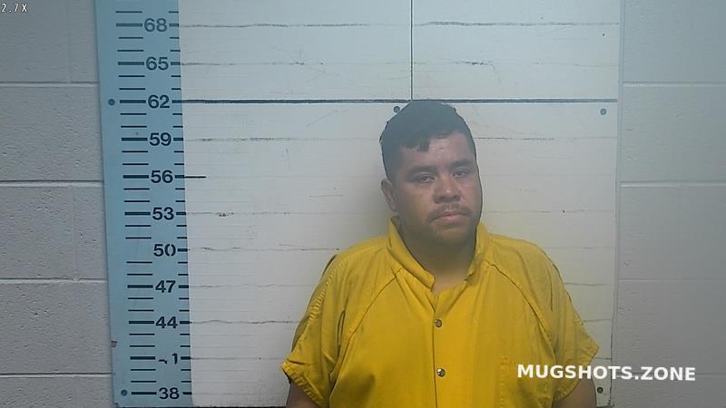 DIAZ OLVERA FILIBERTO 08/24/2025 - Desoto County Mugshots Zone