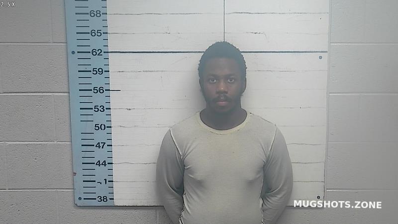 TAYLOR JAMARIO 08/26/2025 - Desoto County Mugshots Zone