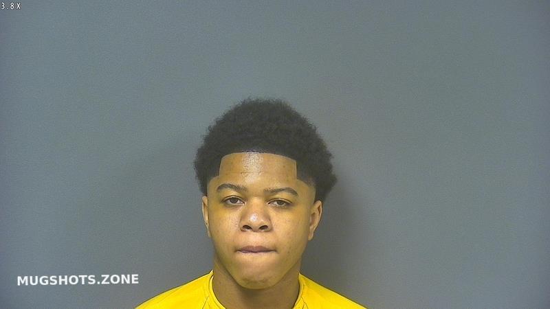 JOHNSON KAMERON DEION 09/06/2025 - Desoto County Mugshots Zone