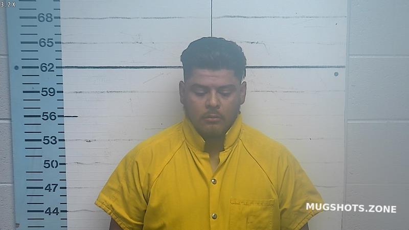 AVILA-ARELLANO GENARO EDUARDO 09/15/2025 - Desoto County Mugshots Zone