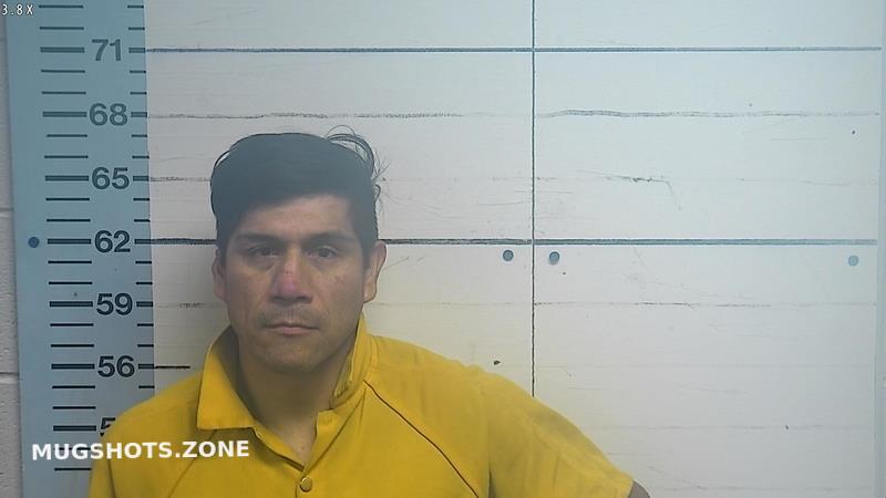 OLIVA HUGO CESAR 09/20/2025 - Desoto County Mugshots Zone